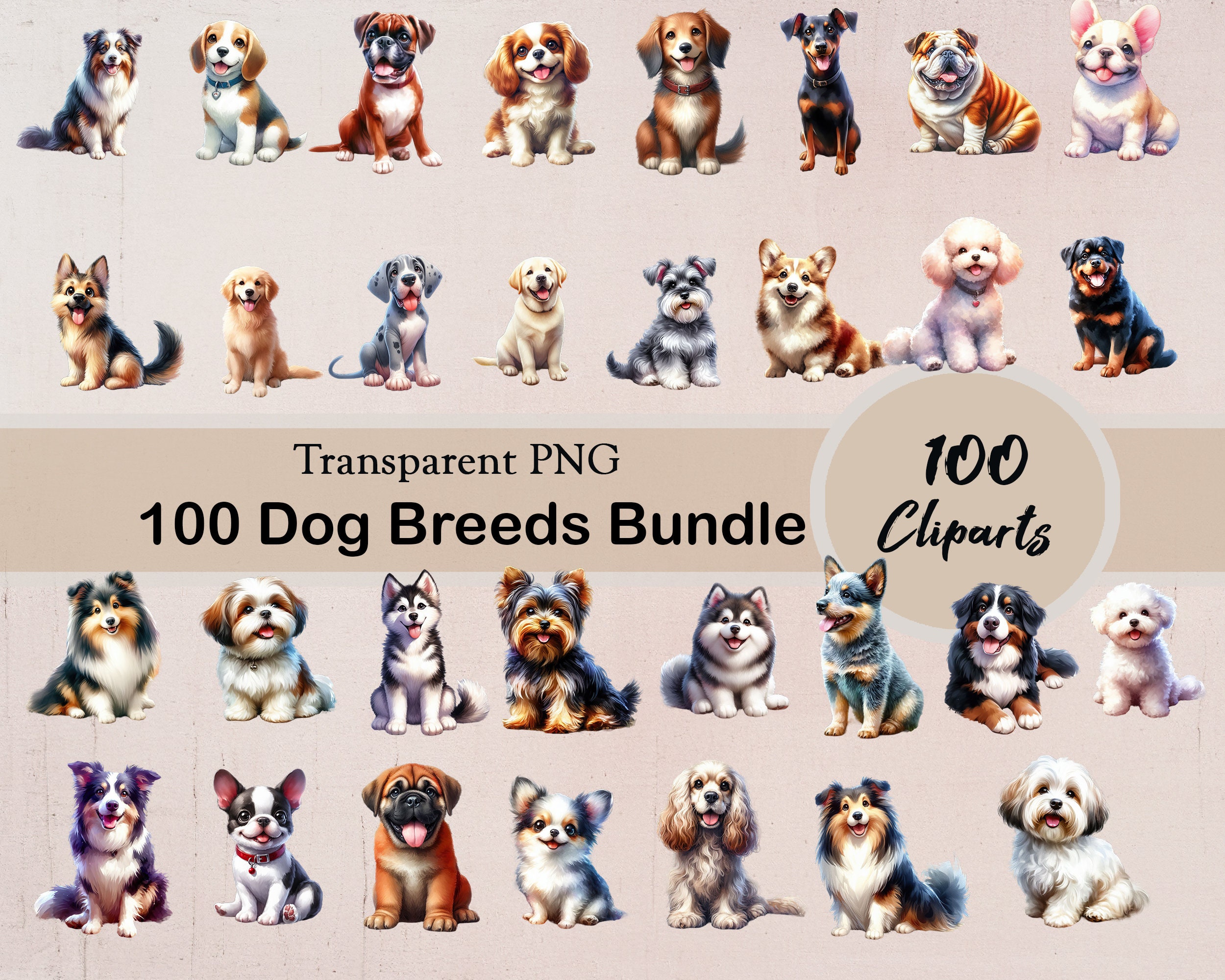 100 Dog Breeds, 100 PNG Clipart, Bundle, Transparent, Dogs, Cute Dogs ...