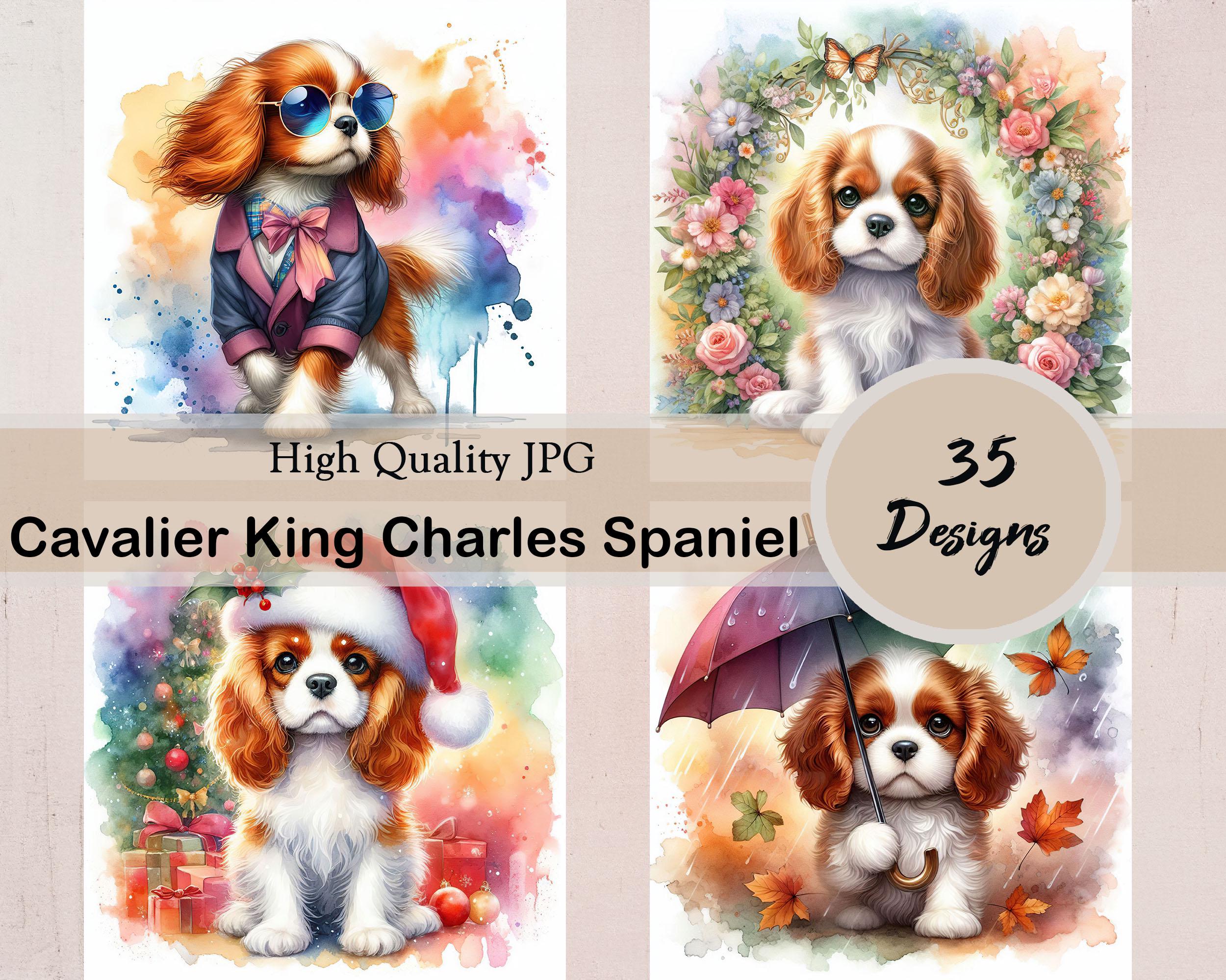 Cavalier King Charles Spaniel, 35 JPG Images, Dog Clipart, Portrait ...