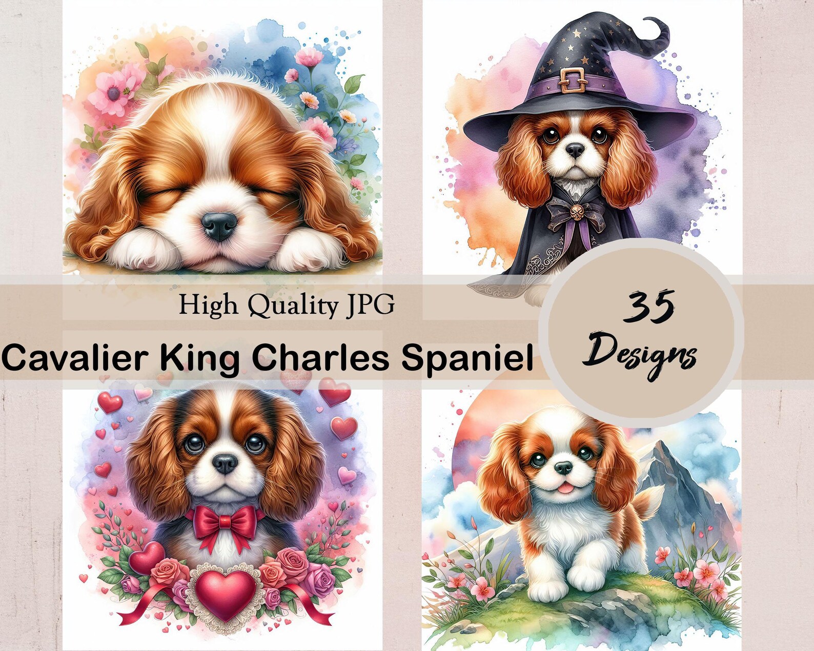Cavalier King Charles Spaniel, 35 JPG Images, Dog Clipart, Portrait ...