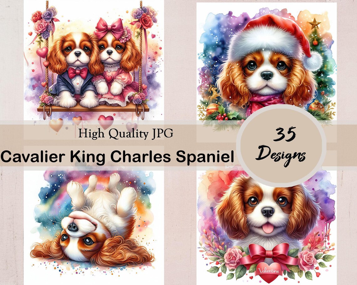 Cavalier King Charles Spaniel, 35 JPG Images, Dog Clipart, Portrait ...