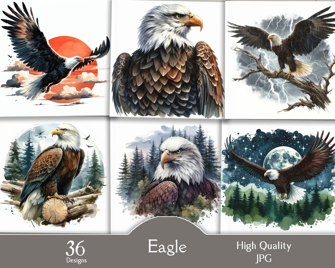 Watercolor Eagle Clipart, Printable Bald Eagle, 36 JPG Images, Digital ...