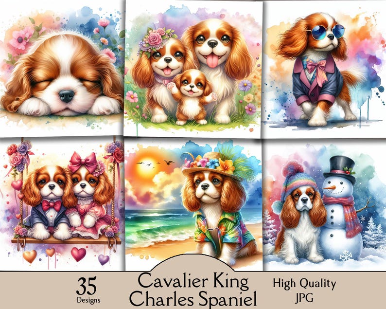 Cavalier King Charles Spaniel, 35 JPG Images, Dog Clipart, Portrait ...