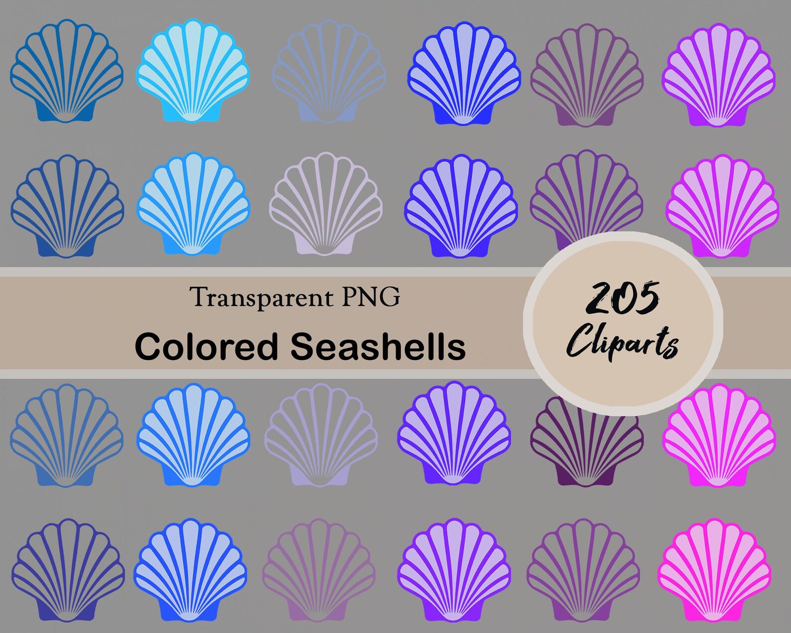 Colorful Seashells, 205 PNG Cliparts, Seashel Outline, Colored ...