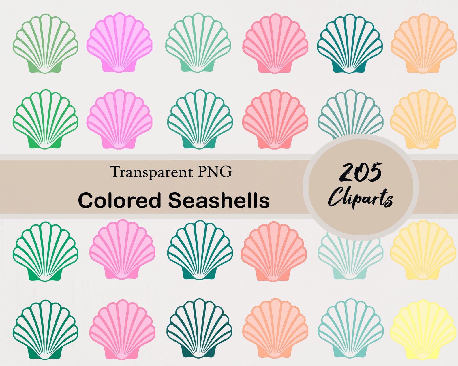 Colorful Seashells, 205 PNG Cliparts, Seashel Outline, Colored ...
