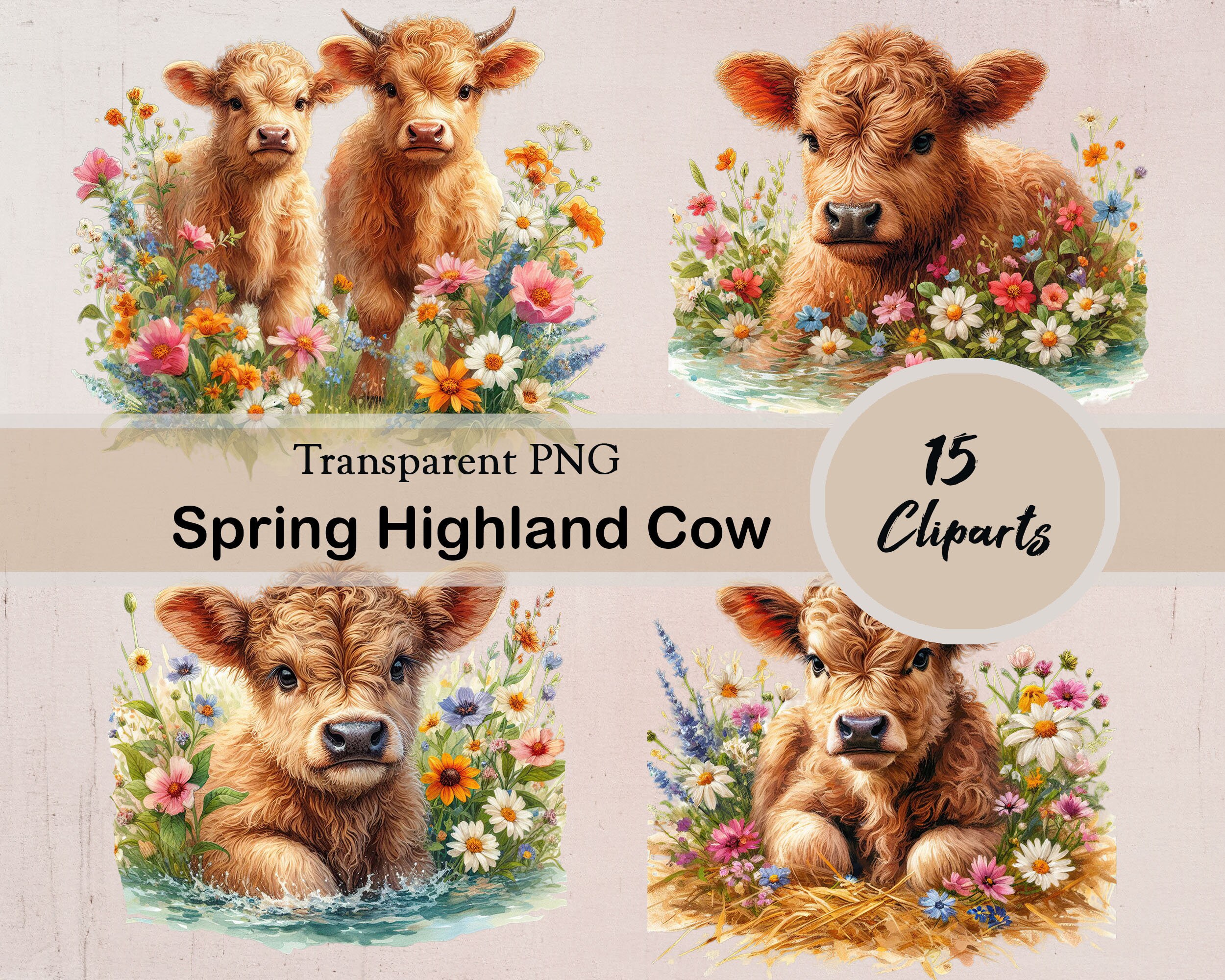 Watercolor Spring Highland Cow, 15 PNG Cliparts, Spring, Floral ...