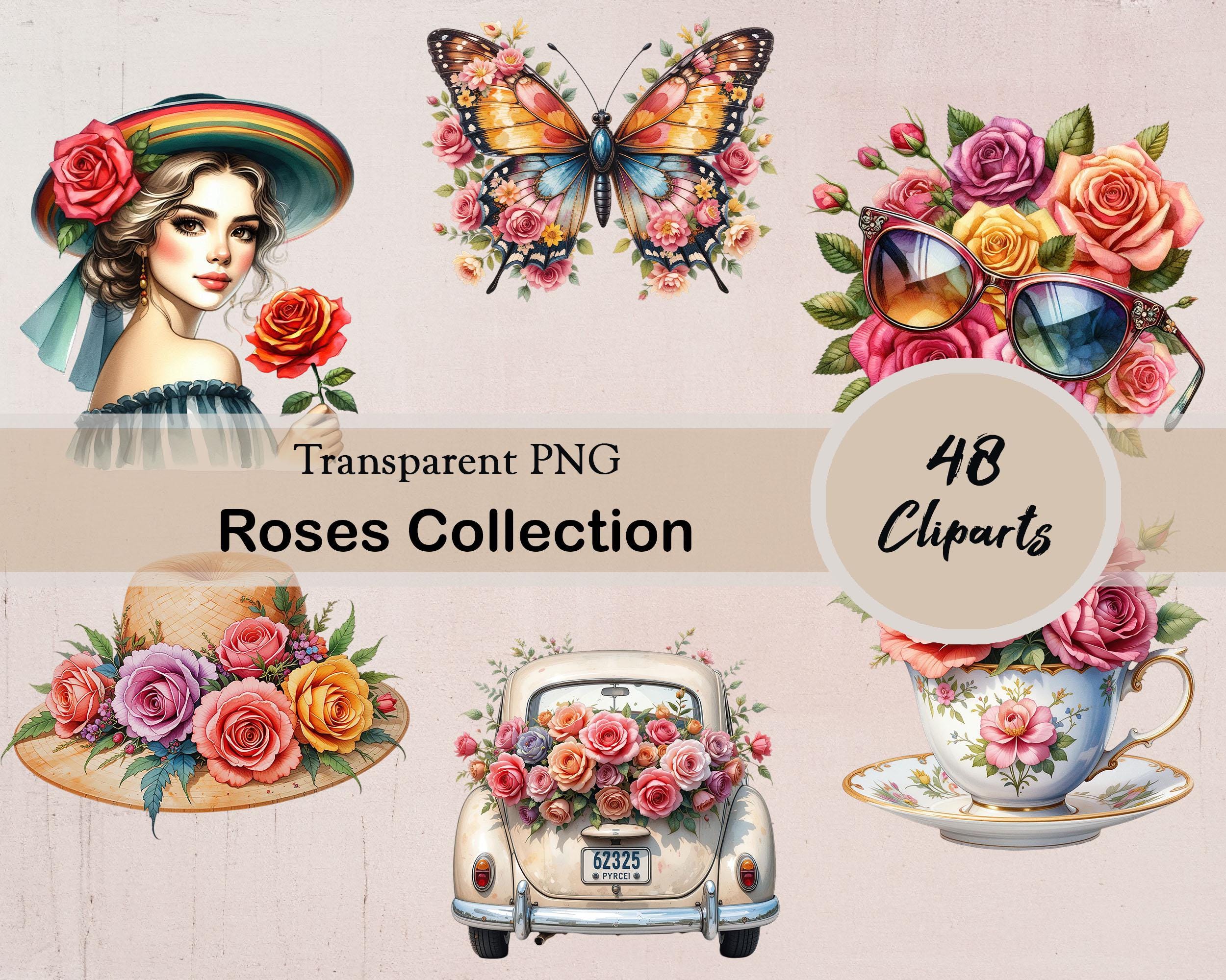 Roses Clipart Collection, Rose Flower Illustration, 48 PNG Cliparts ...