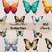 Butterflies, 100 PNG Cliparts, Colored Butterfly, Rainbow Butterfly ...