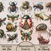 Steampunk Insects, 20 PNG Cliparts, Steampunk, Insect, Printable ...