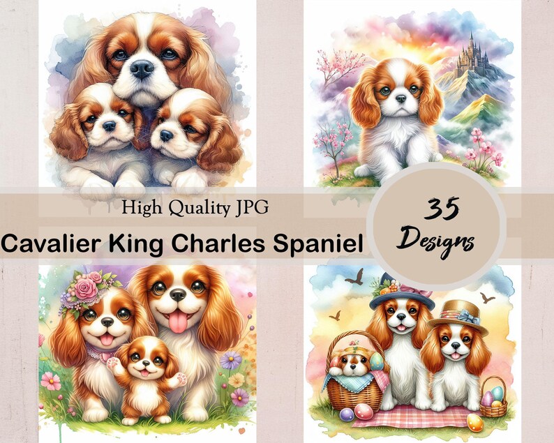 Cavalier King Charles Spaniel, 35 JPG Images, Dog Clipart, Portrait ...