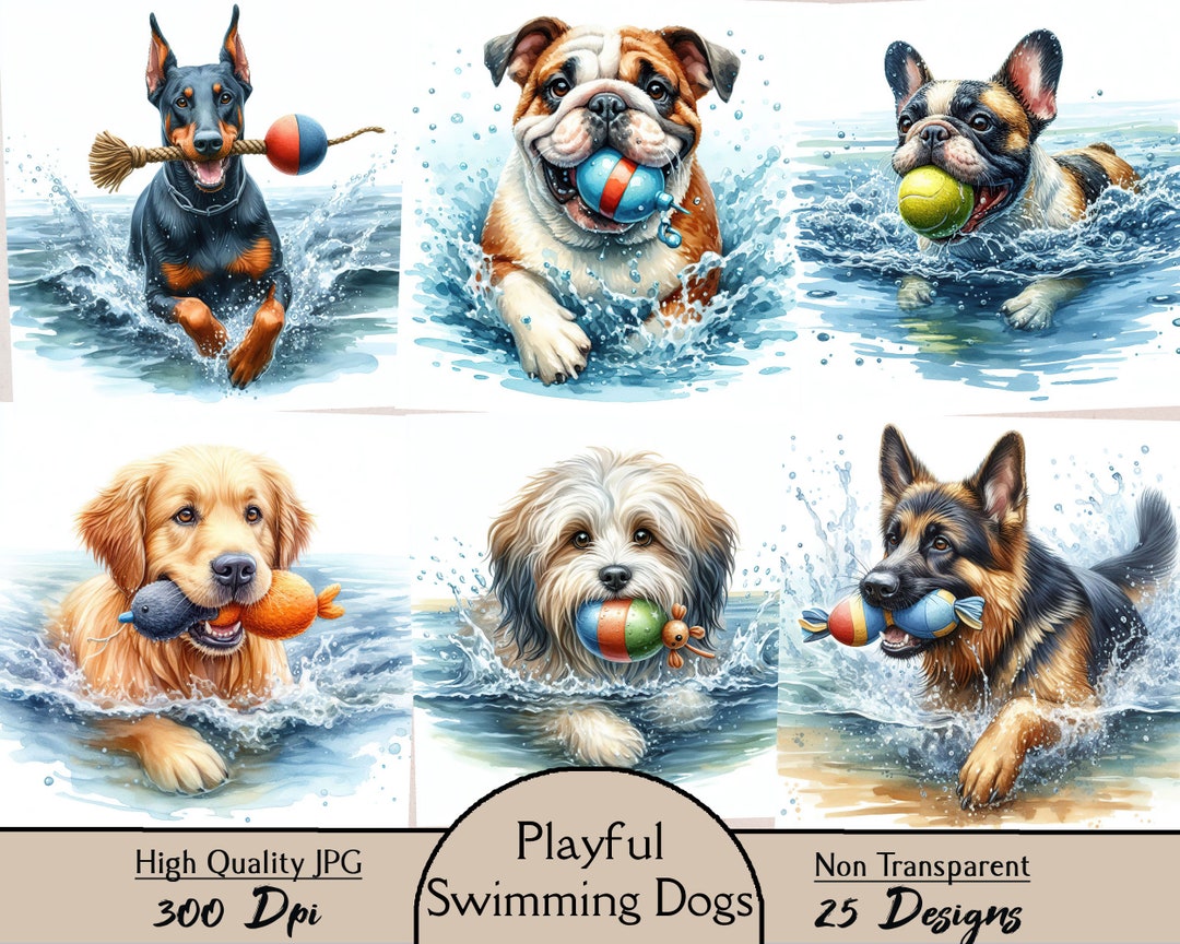 Playful Swimming Dogs, 25 JPG Images, Cute, Adorable, Dogs, Playful ...
