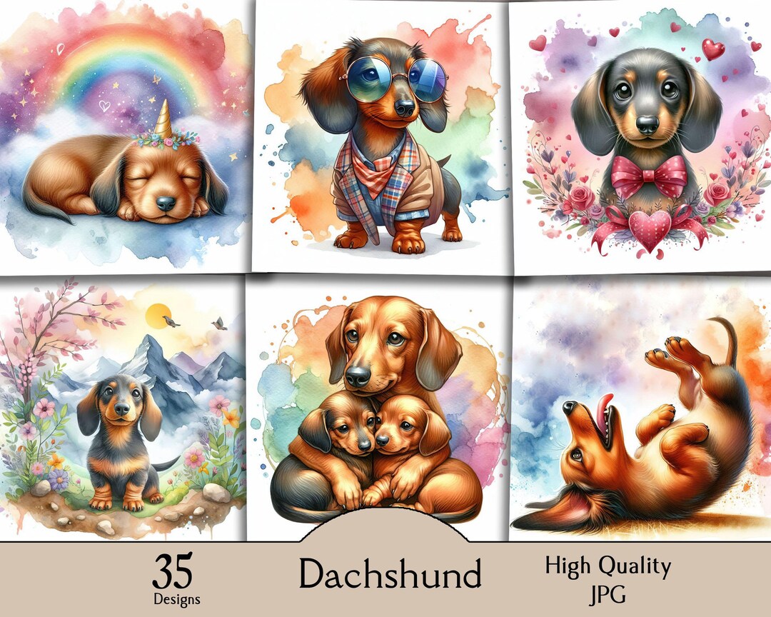 Dachshund, 35 JPG Images, Clipart, Dog Portrait, Dachshund, Cute, 4 ...