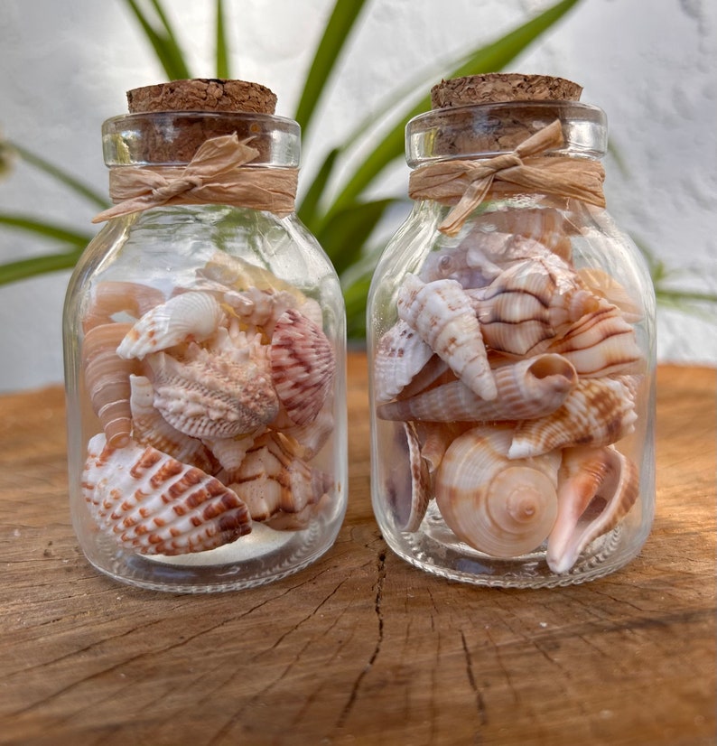 Glass Bottle Filled W/ Beautiful & Unique Assortment of Hand Selected ...