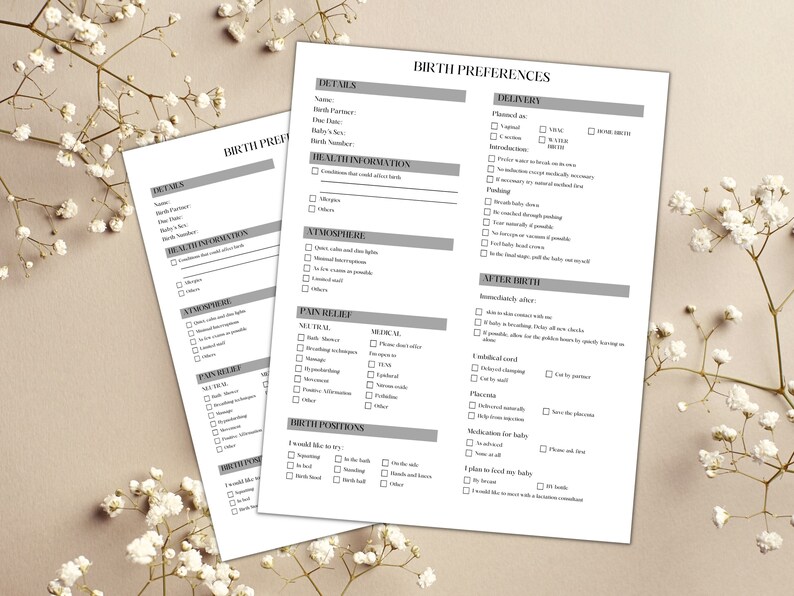 Editable Birth Plan Template | Birth Plan Template Editable| Visual ...