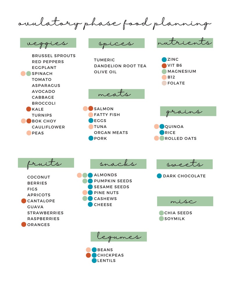 Cycle Syncing Guide + Planner - Etsy