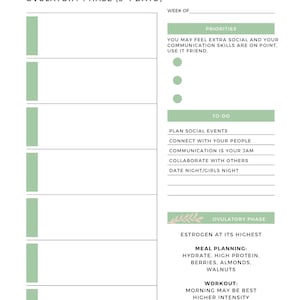 Cycle Syncing Guide + Planner - Etsy