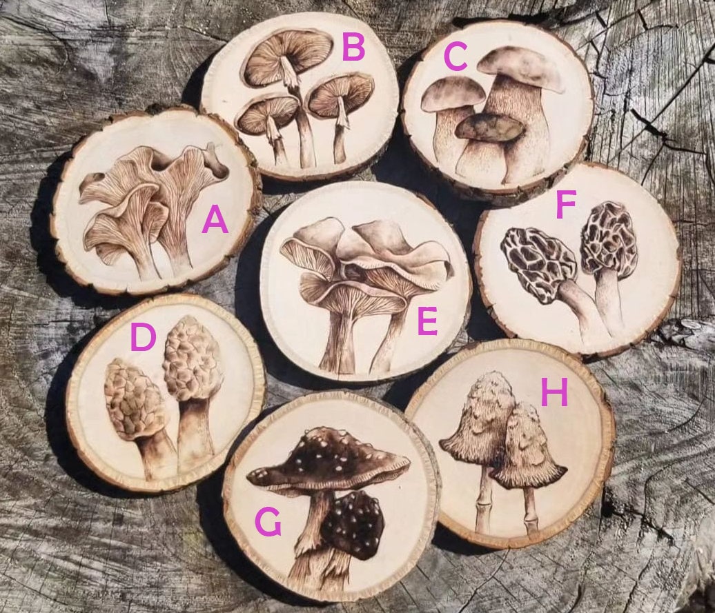 Mushroom Woodburned Coaster - Etsy
