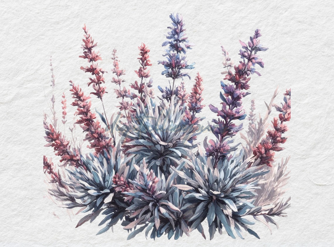 Sagebrush Watercolor Clip Art, Sagebrush Clip Art, Sagebrush Clipart ...