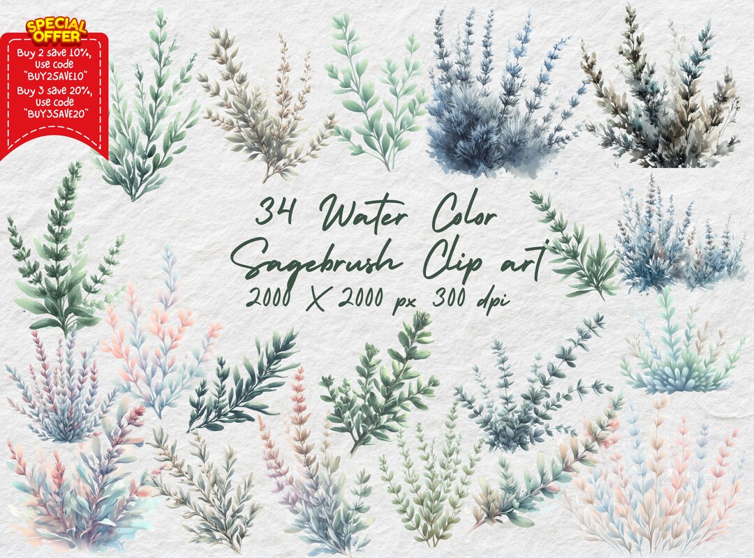 Watercolor Sagebrush Clip Art Sagebrush Clipart Sagebrush - Etsy