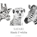 Safari Animals Clipart, Black and White Animals, Jungle Animals Clipart ...