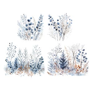 Winter Wildflower Clipart, Winter Florals, Frosty Wild Flower Clipart ...