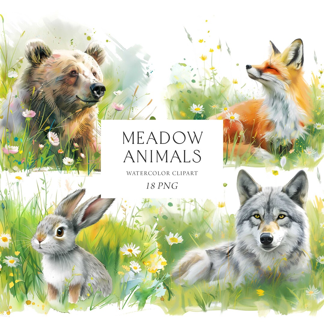 Woodland Animals Clipart, Forest Animals Clipart, Spring Animals ...