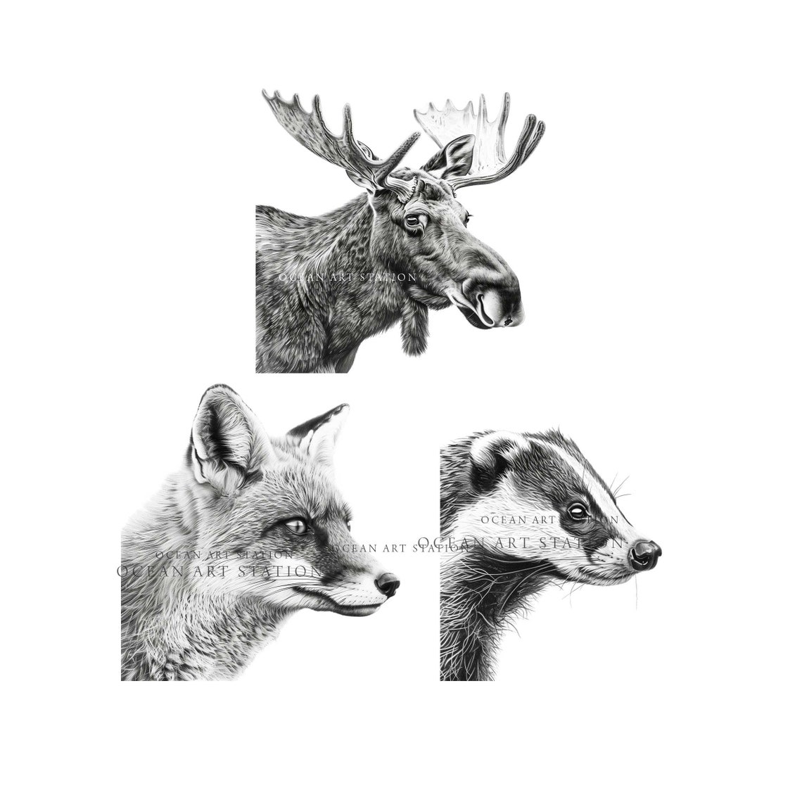 Woodland Animals Clipart, Black and White Animals, Forest Animals ...