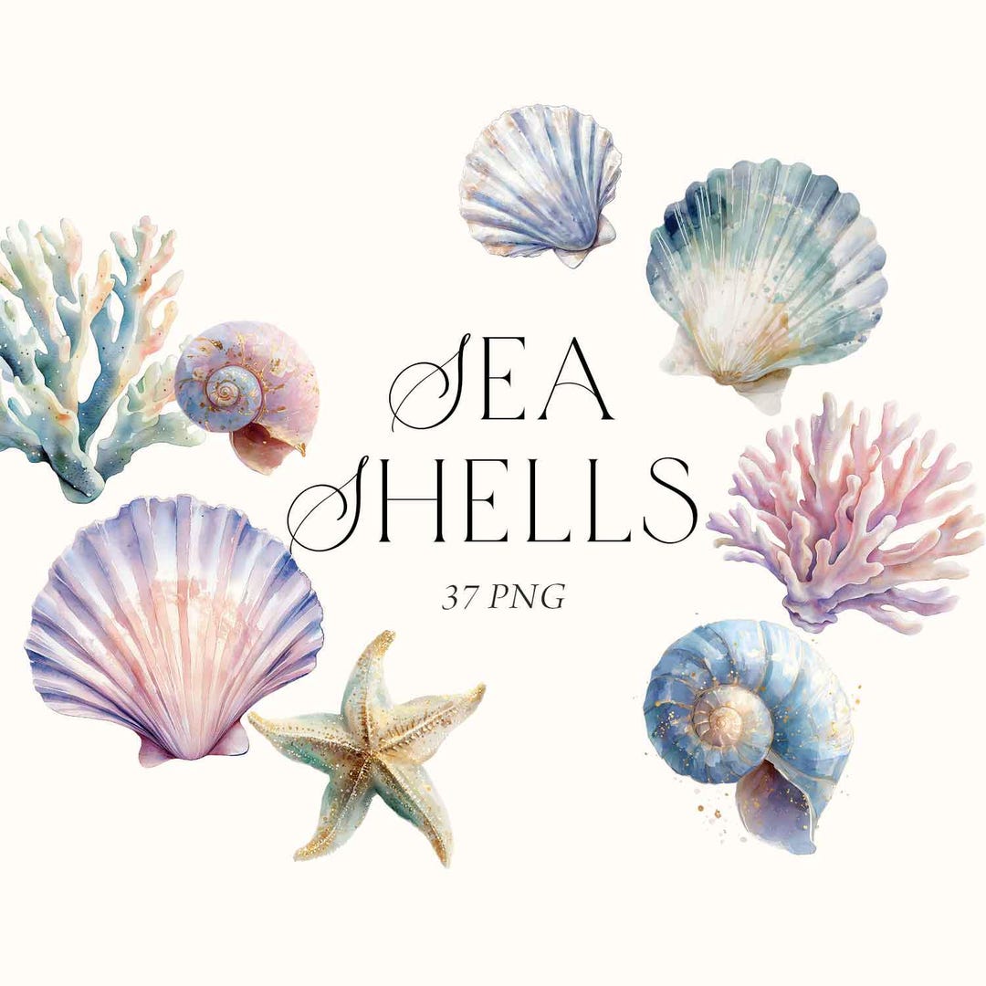 Sea Shells Clipart, Ocean Marine Clipart, Under the Sea Clipart, Coral ...