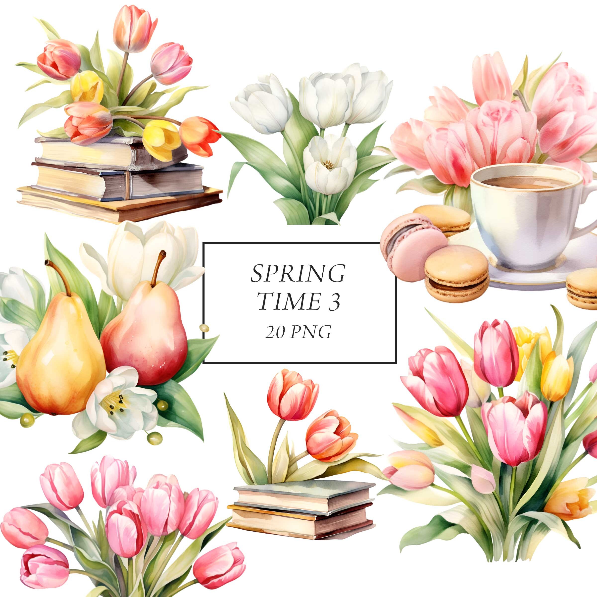 Spring Clipart, Tulips Clipart, Spring Floral Clipart, Floral Vases ...