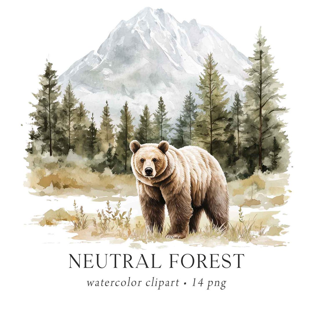 Woodland Clipart, Neutral Forest Clipart, Pine Forest Landscape, Pine ...