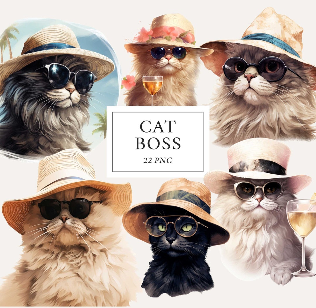 Funny Cats Clipart Png, Cats Clipart Bundle, Cat Lover Clipart ...