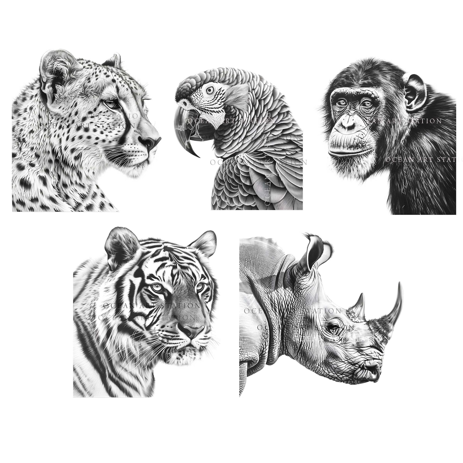 Safari Animals Clipart, Black and White Animals, Jungle Animals Clipart ...