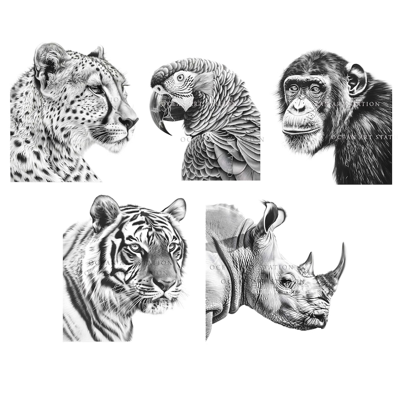 Safari Animals Clipart, Black and White Animals, Jungle Animals Clipart ...
