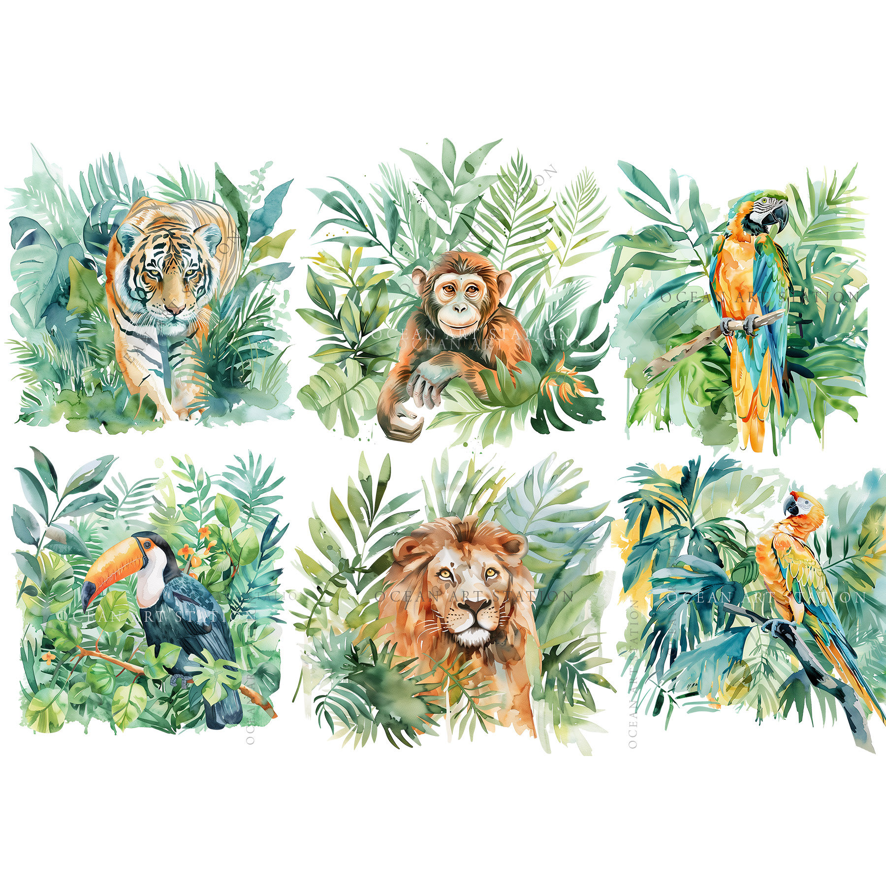 Jungle Animals Clipart, Jungle Clipart Watercolor, Safari Animals ...