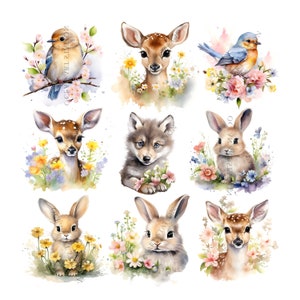 Spring Animals Clipart Watercolor, Spring Woodland Animals Clipart ...