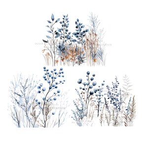 Winter Wildflower Clipart, Winter Florals, Frosty Wild Flower Clipart ...