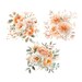 Peach Floral Clipart, Peach Floral Bouquets, Peach Wedding Bouquets ...