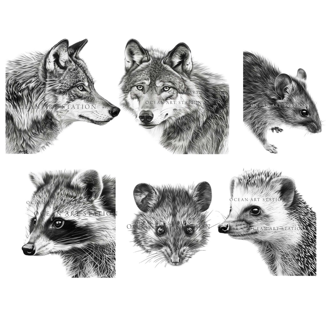 Woodland Animals Clipart, Black and White Animals, Forest Animals ...