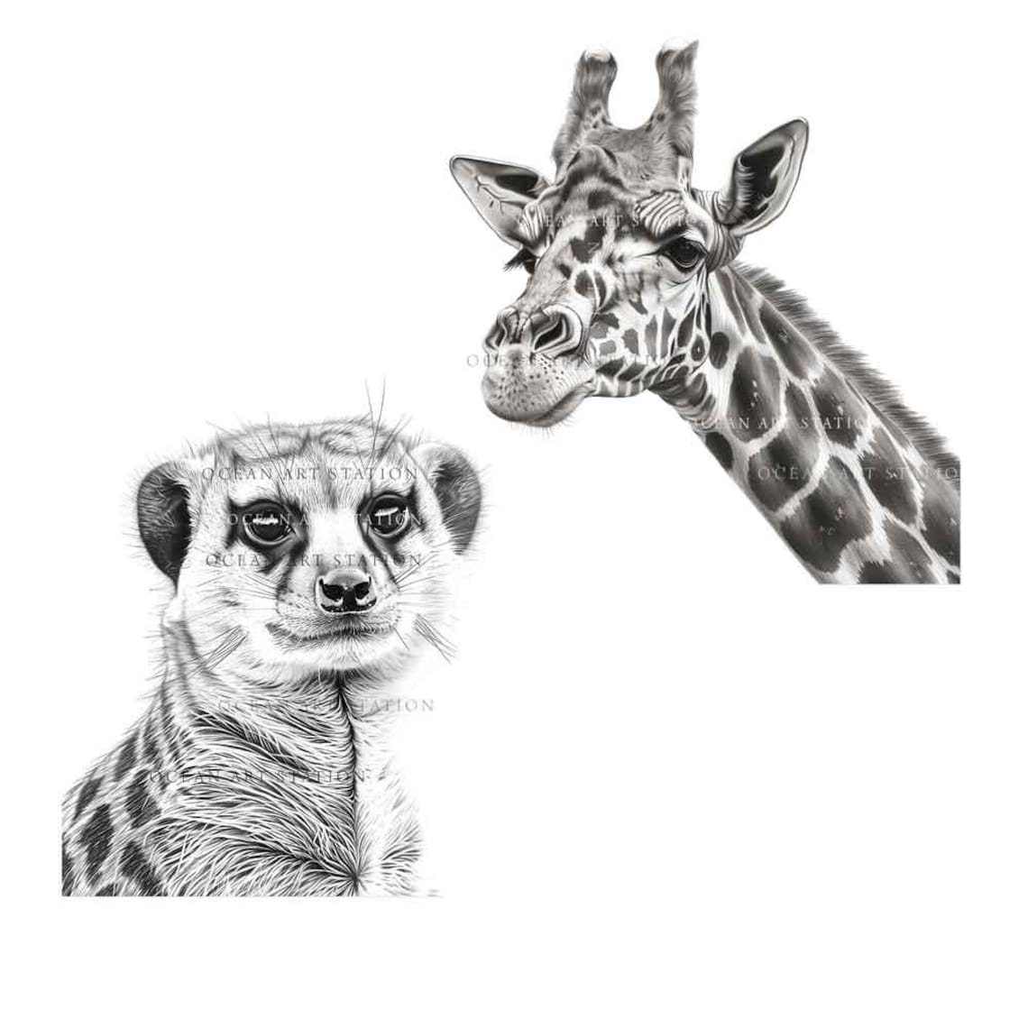 Safari Animals Clipart, Black and White Animals, Jungle Animals Clipart ...