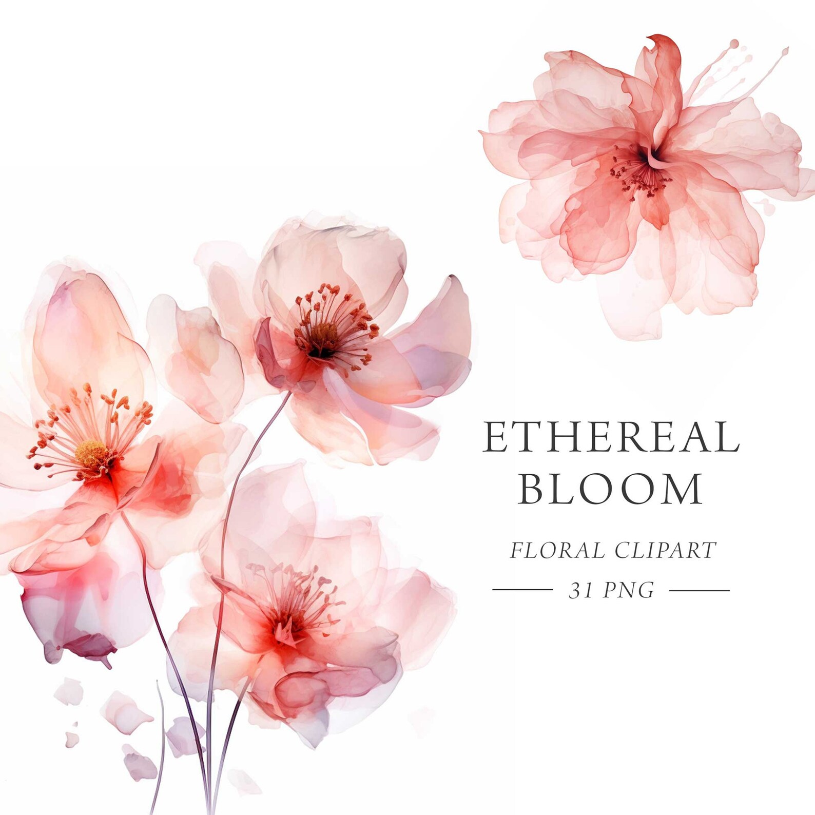 Pink Floral Clipart Cherry Blossom Clipart Watercolor - Etsy