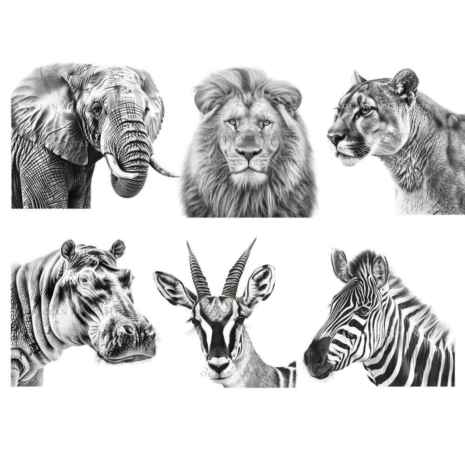 Safari Animals Clipart, Black and White Animals, Jungle Animals Clipart ...