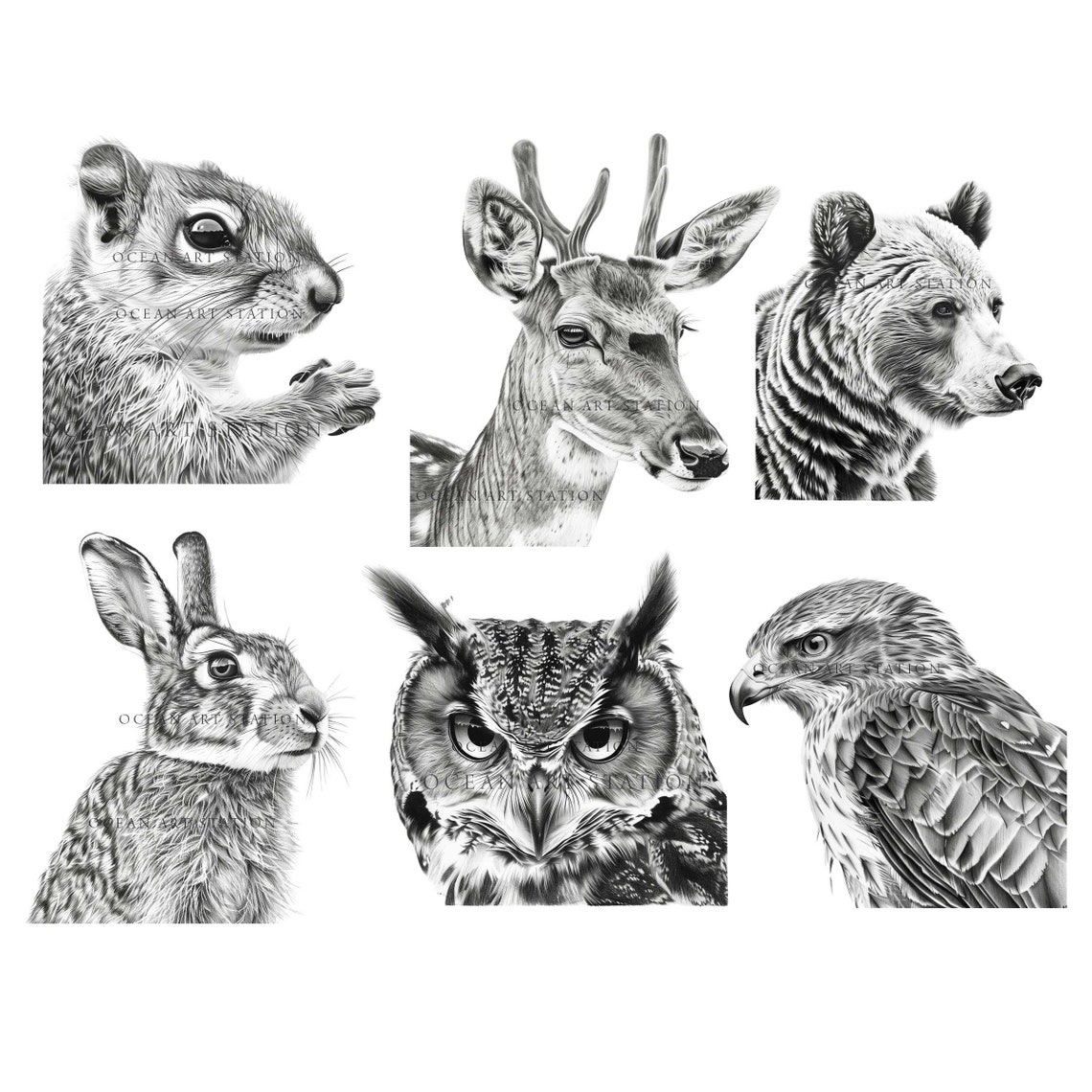 Woodland Animals Clipart, Black and White Animals, Forest Animals ...