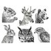 Woodland Animals Clipart, Black and White Animals, Forest Animals ...