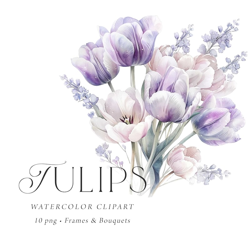 Tulips Clipart Watercolor, Tulip Clipart Png, Lilac Floral Clipart ...