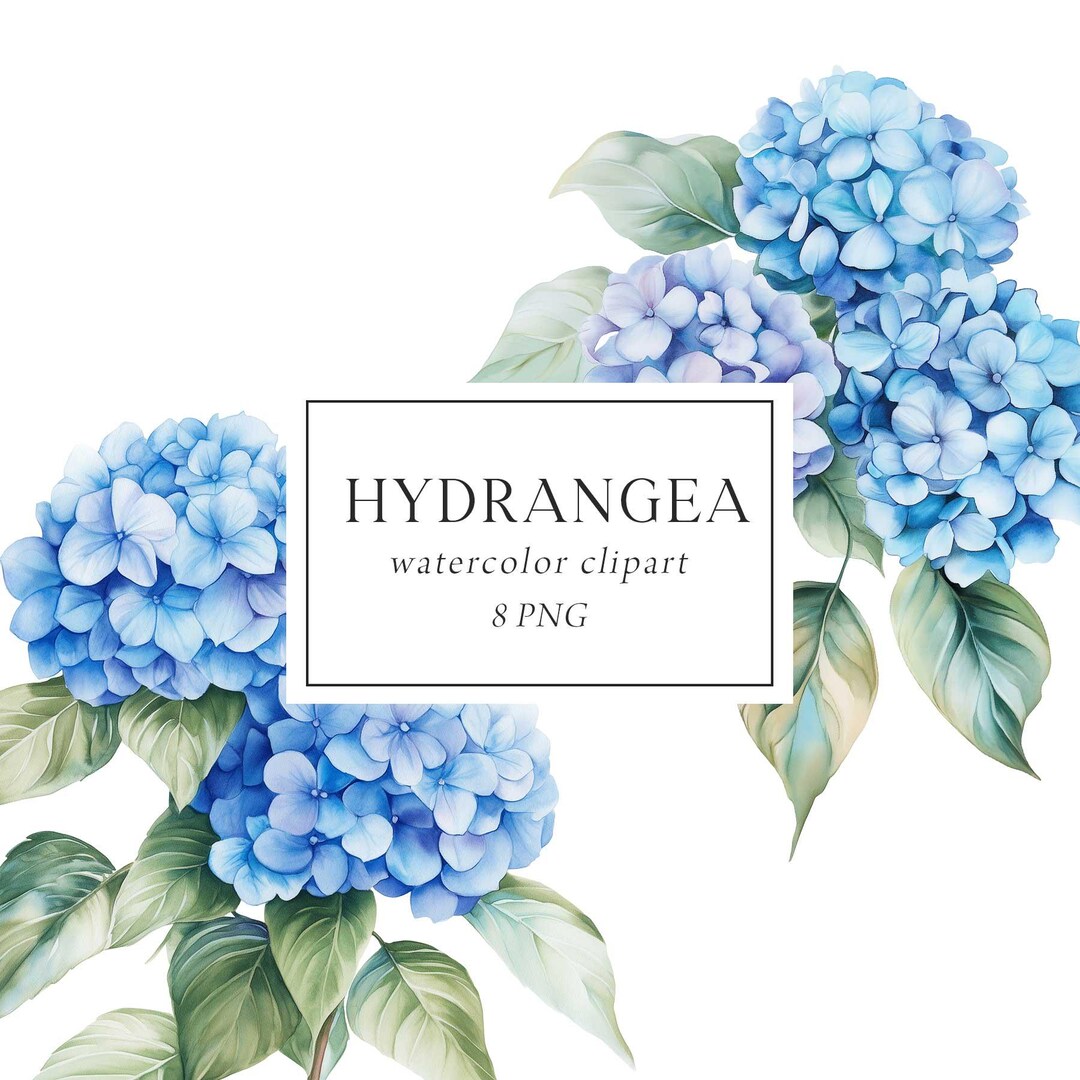 Blue Hydrangea Clipart, Hydrangea Bouquets, Blue Floral Clipart ...