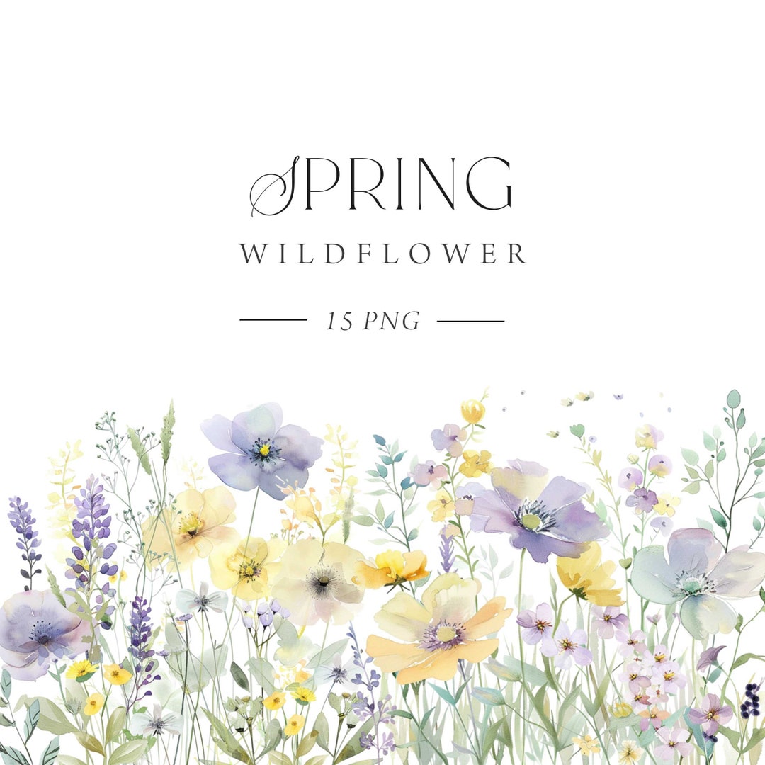Spring Wildflowers Clipart, Wildflowers Watercolor Png, Spring Flowers ...