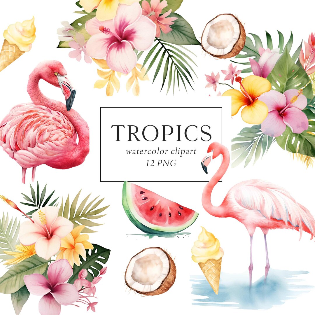 Tropical Floral Clipart, Tropical Bouquets Clipart, Flamingo Clipart ...