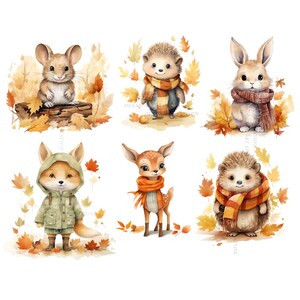 Fall Animals Clipart Watercolor, Forest Animals Clipart, Fall Woodland ...