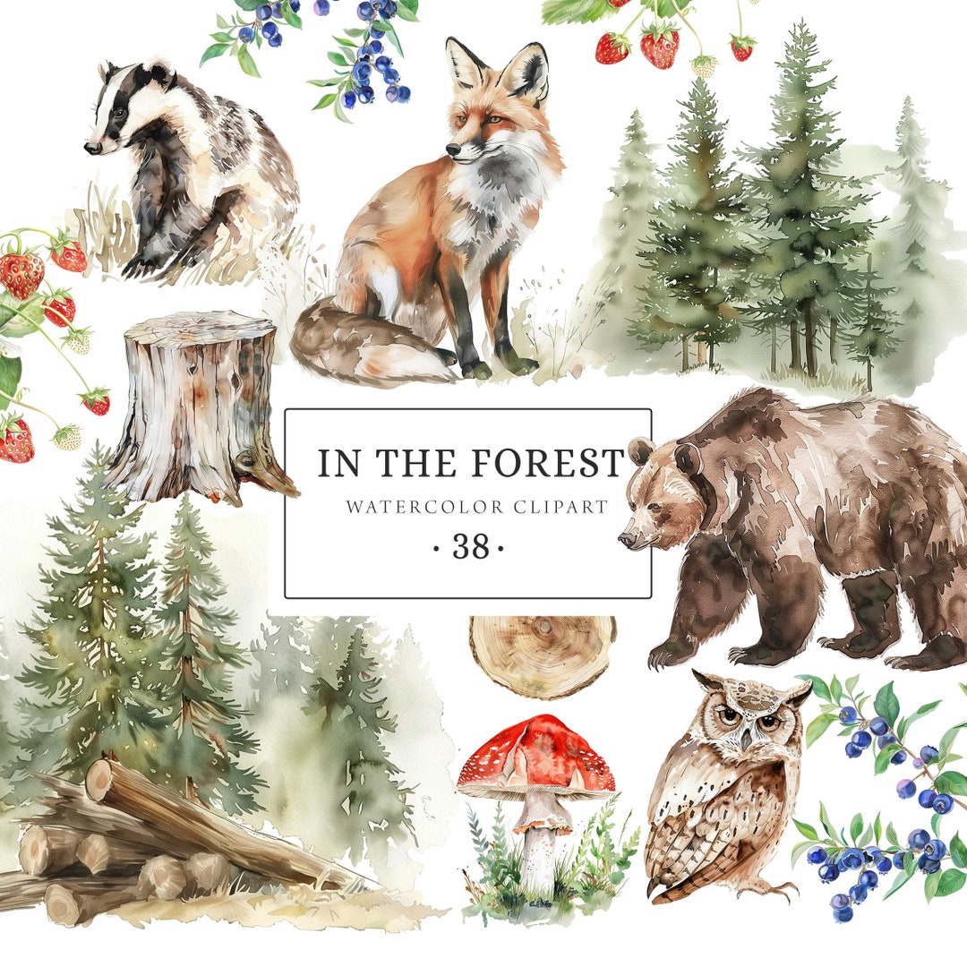 Woodland Clipart, Pine Forest Clipart, Woodland Animals Clipart, Forest ...