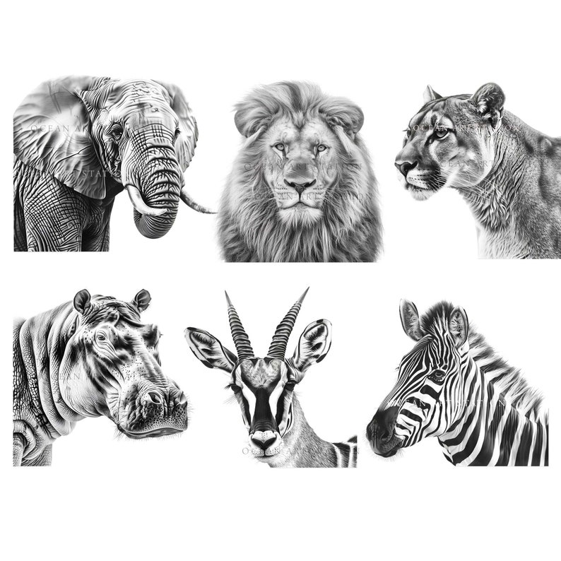 Safari Animals Clipart, Black and White Animals, Jungle Animals Clipart ...