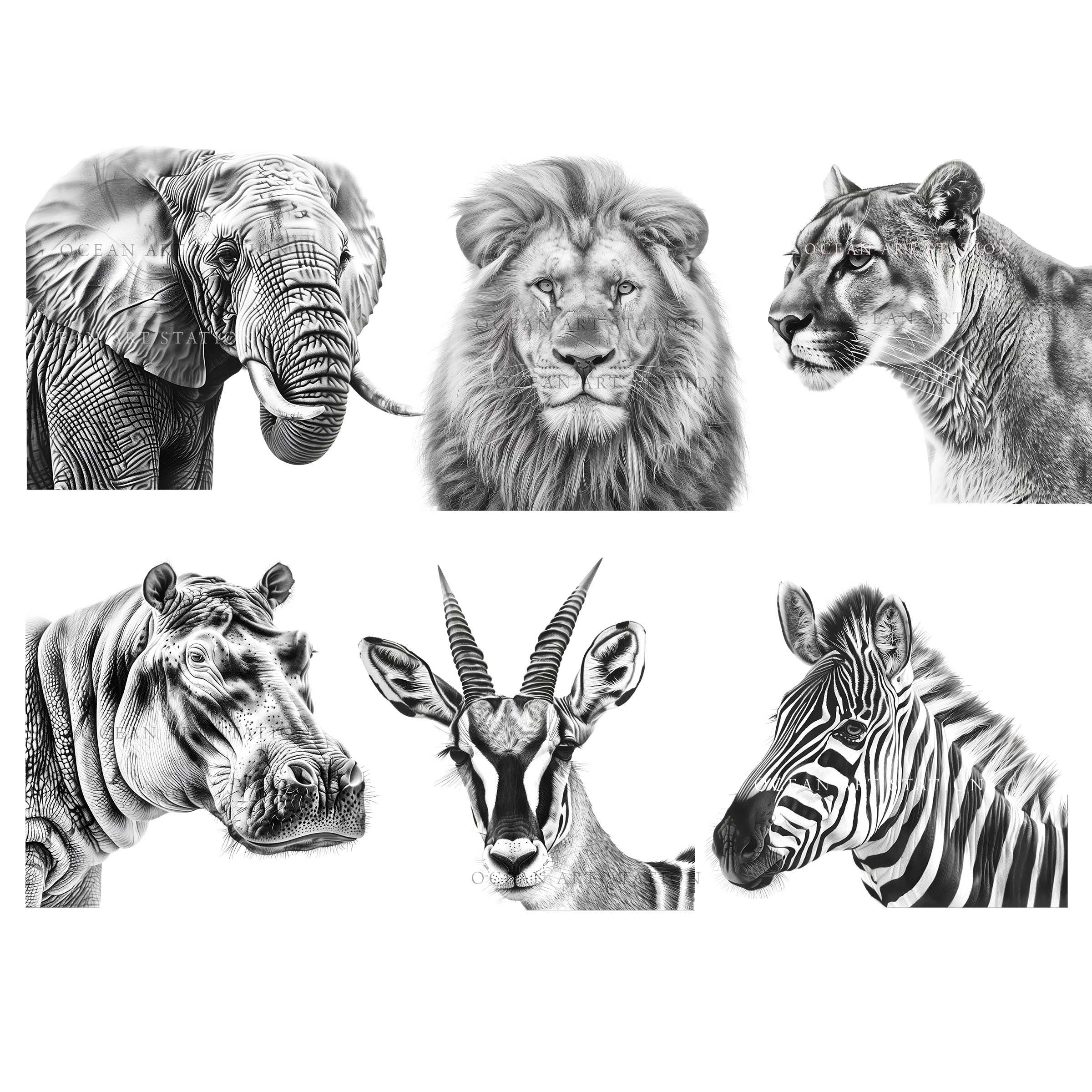 Safari Animals Clipart, Black and White Animals, Jungle Animals Clipart ...